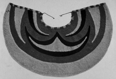 AP Art History Practice Test 28: Pacific Art_crackap.com