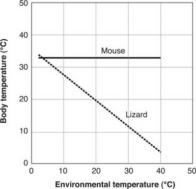 AP Biology Practice Test 11_crackap.com