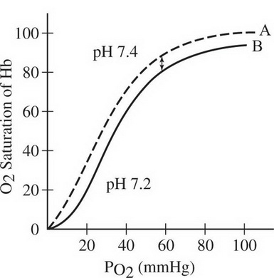 AP Biology Practice Question 190_crackap.com