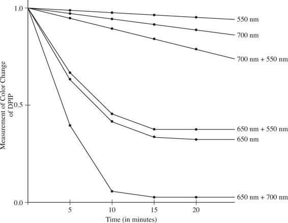 AP Biology Question 240: Answer and Explanation_crackap.com