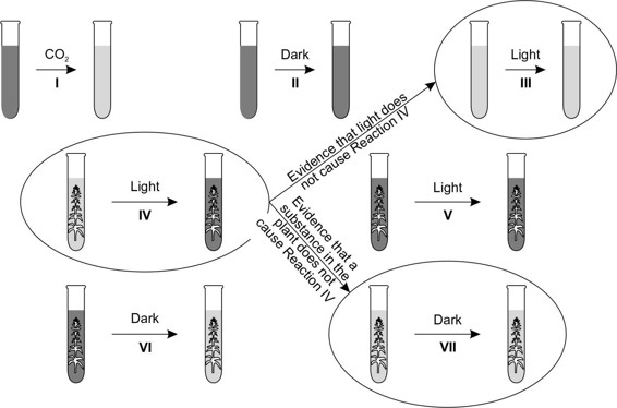 AP Biology Question 413: Answer and Explanation_crackap.com