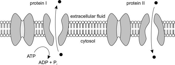 AP Biology Practice Test 34_crackap.com