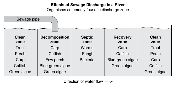 AP Environmental Science Practice Test: Pollution_crackap.com AP Environmental Science Practice Test: Pollution_crackap.com
