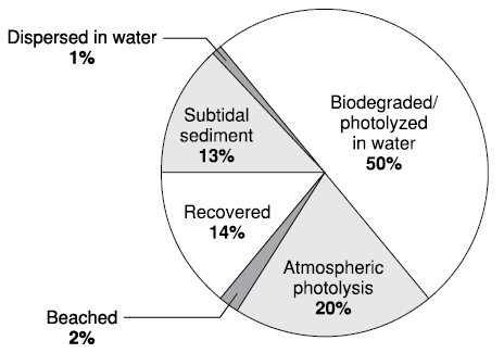 AP Environmental Science Question 238: Answer and Explanation_crackap.com
