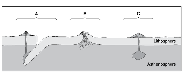 AP Environmental Science Free-Response Practice Test: The Earth_crackap.com