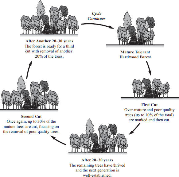 AP Environmental Science Practice Test 4_crackap.com